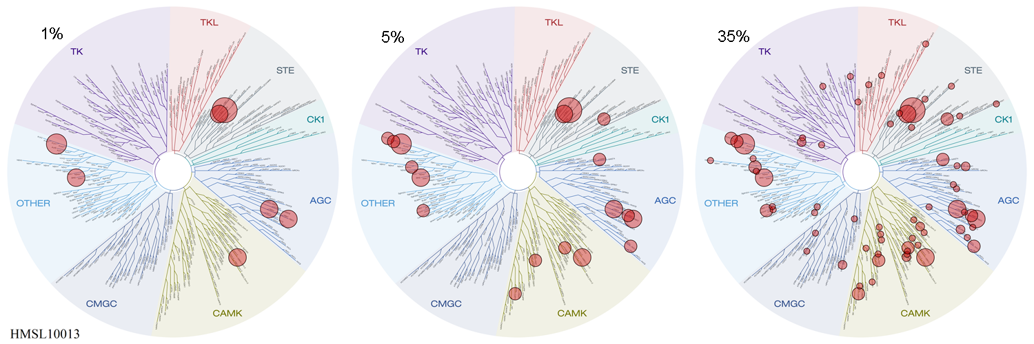 GSK461364 - Small Molecule - HMS LINCS Database - HMS LINCS Project