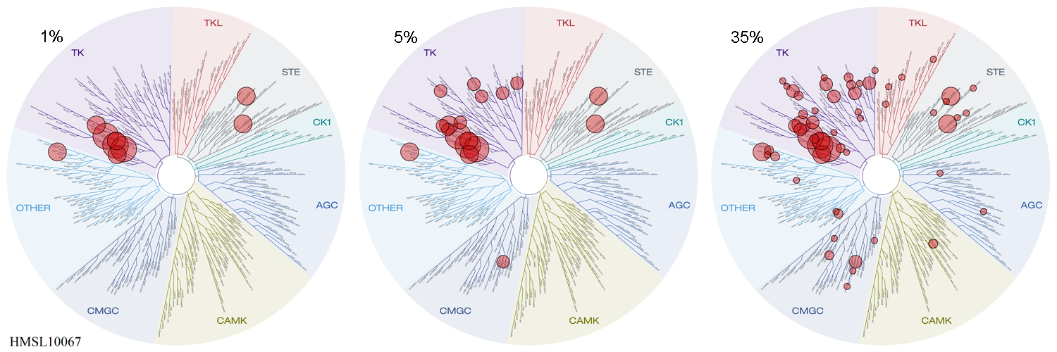 Barasertib - Small Molecule - HMS LINCS Database - HMS LINCS Project