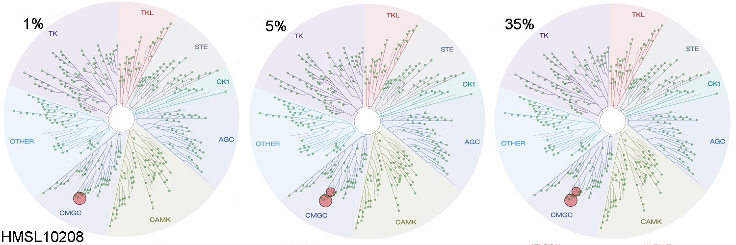 JNK-IN-5A - Small Molecule - HMS LINCS Database - HMS LINCS Project