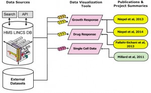 Data & Publications - HMS LINCS Project